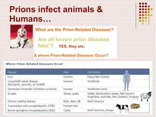 Prions and diseases | PPT