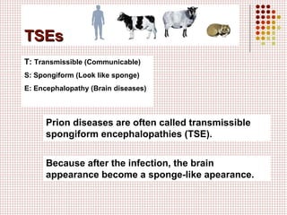 Prions and diseases | PPT