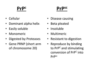 Prions | PPTX