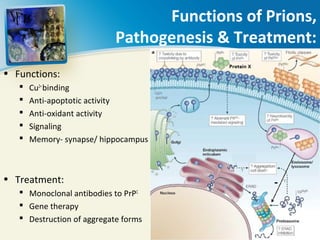 Prions | PPT