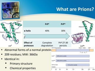 Prions | PPT