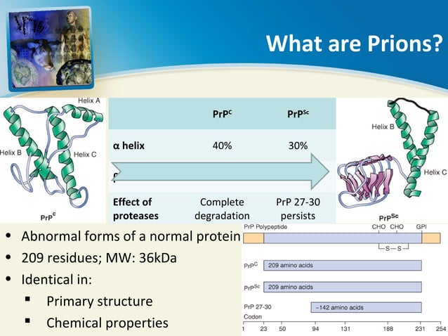 Prions | PPT