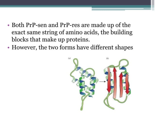 Prions | PPTX