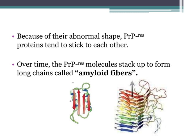 Prions | PPTX