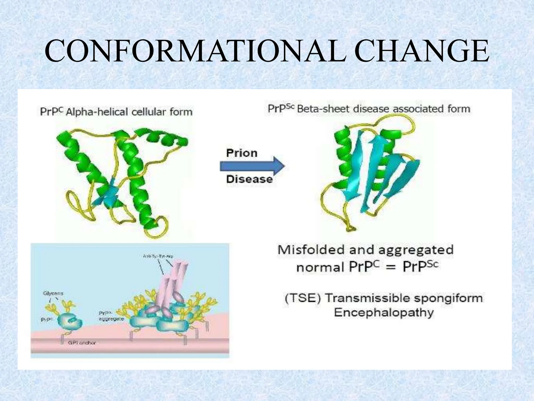 PRIONS-structure, multiplication, diseases.pptx