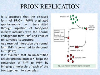 PRIONS-structure, multiplication, diseases.pptx
