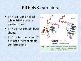 PRIONS-structure, multiplication, diseases.pptx