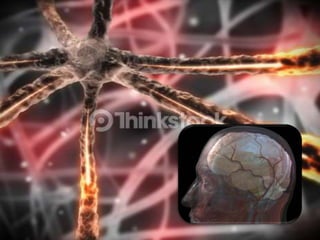 Prions (Infectious Protein) | PPTX