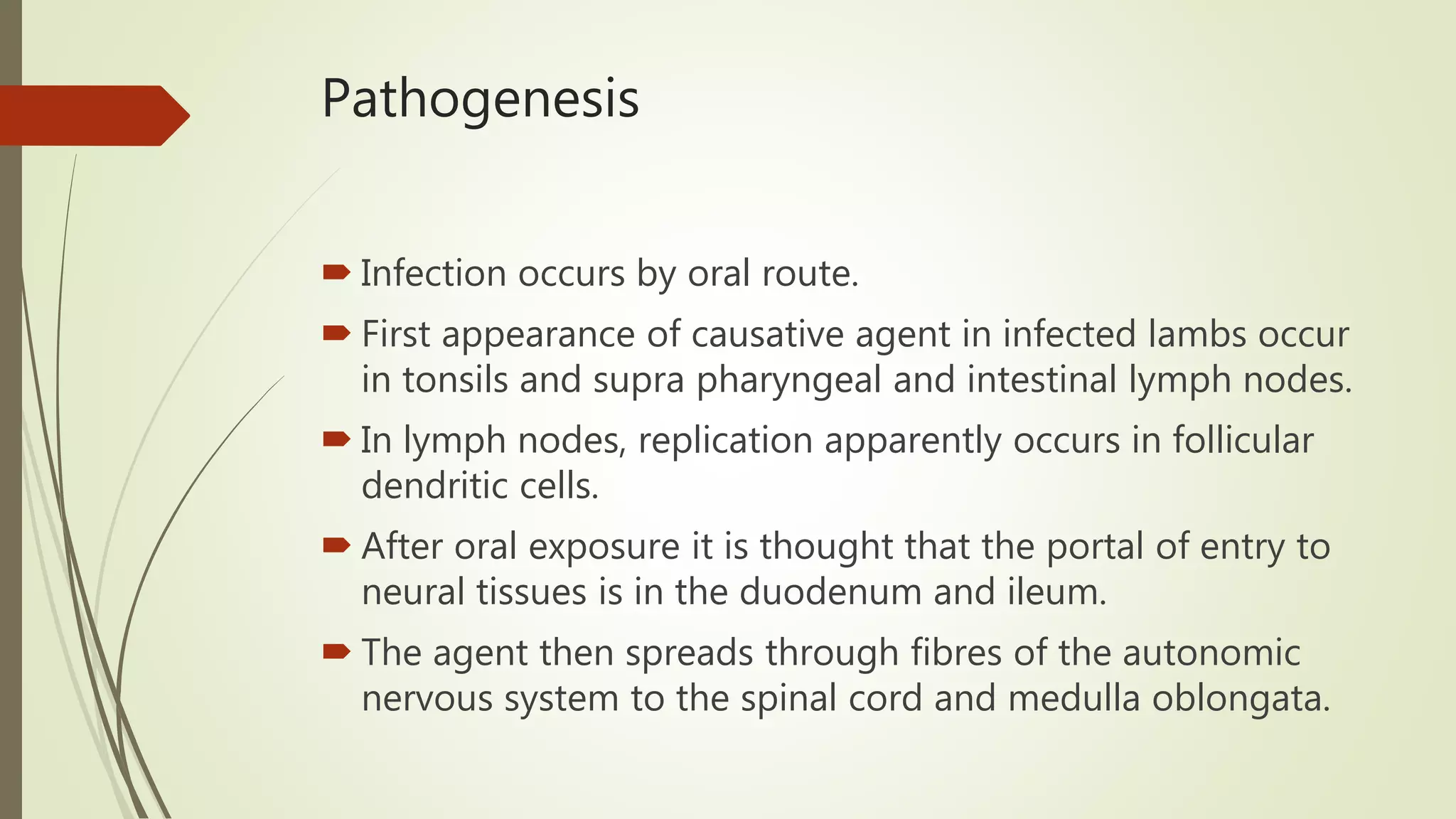 Prions and it’s important diseases in veterinary field. | PPTX