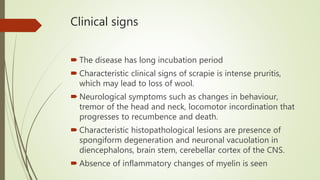 Prions and it’s important diseases in veterinary field. | PPTX