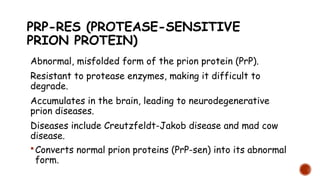 prions and prion diseases in mammals - cjd and scrapie.pptx