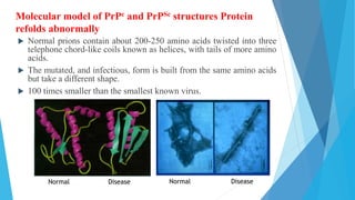 Prions ppt SBC 450.ppt