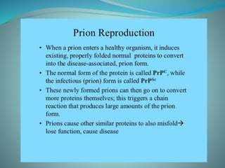 Prions | PPTX