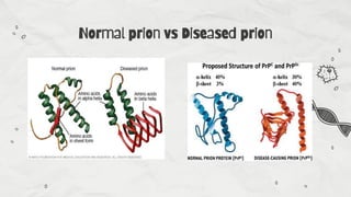 Presentation on prions diseases and its prevention | PPTX
