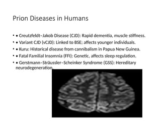Prions Presentation[1] [autosaved] Pptx