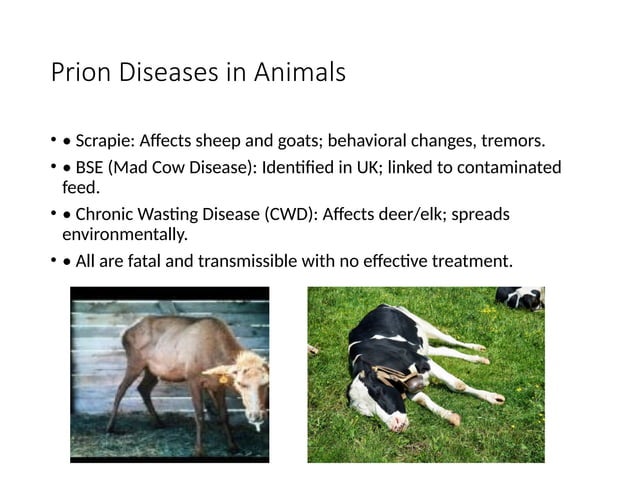 Prions_Presentation[1] [Autosaved]..pptx