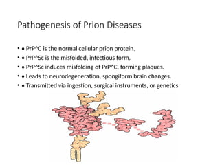 Prions_Presentation[1] [Autosaved]..pptx