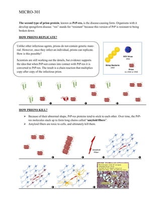 Prions , prions diseases & pcr | PDF