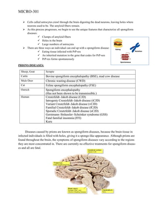 Prions , prions diseases & pcr | PDF