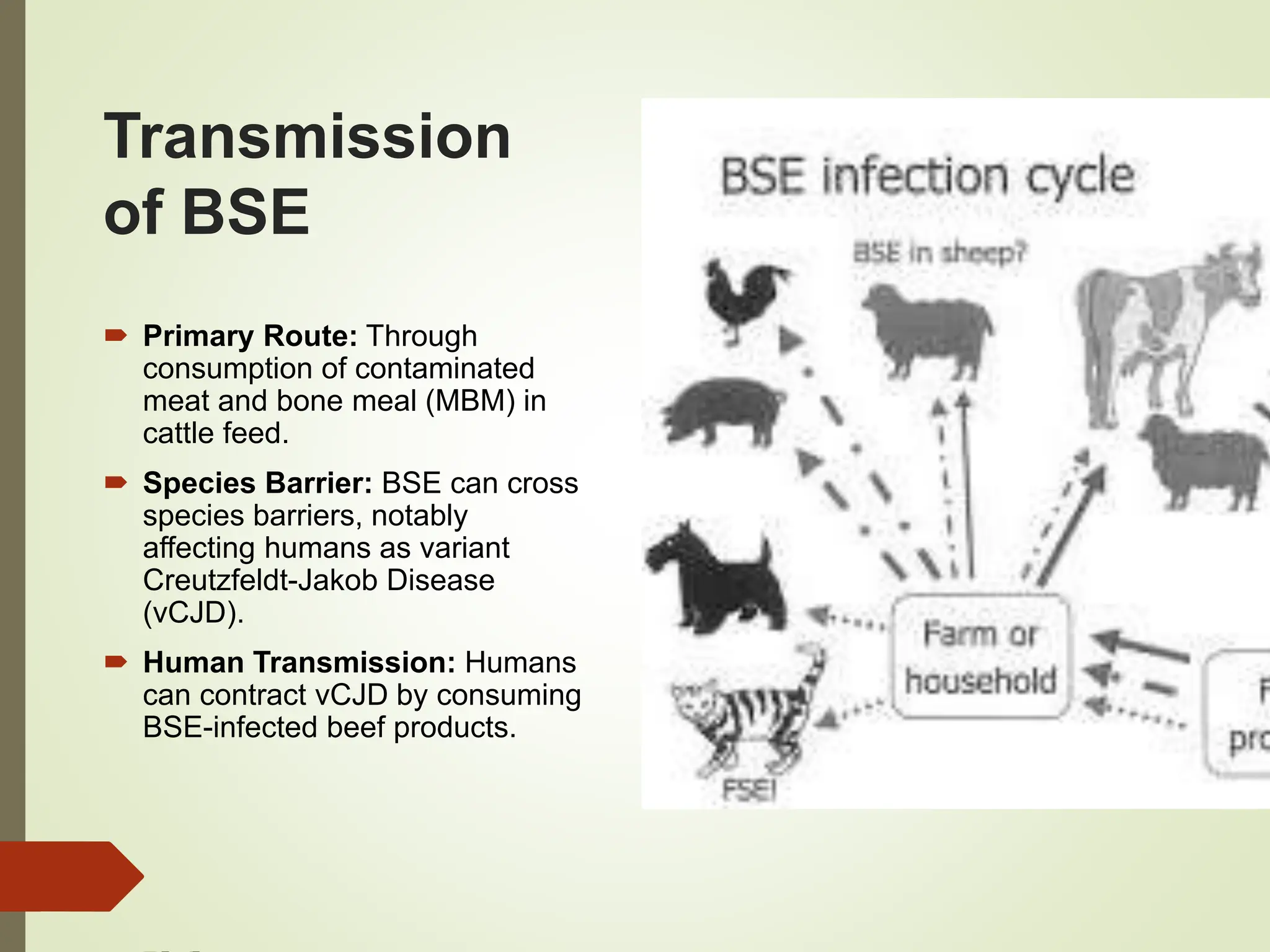 prions,types, disease, prevention and treatment | PPTX