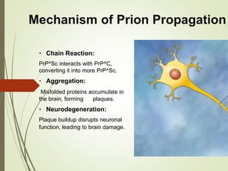 prions,types, disease, prevention and treatment | PPTX