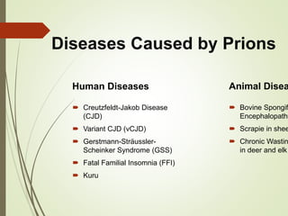 prions,types, disease, prevention and treatment | PPTX