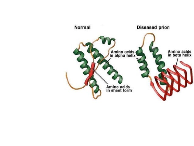 prions,types, disease, prevention and treatment | PPTX