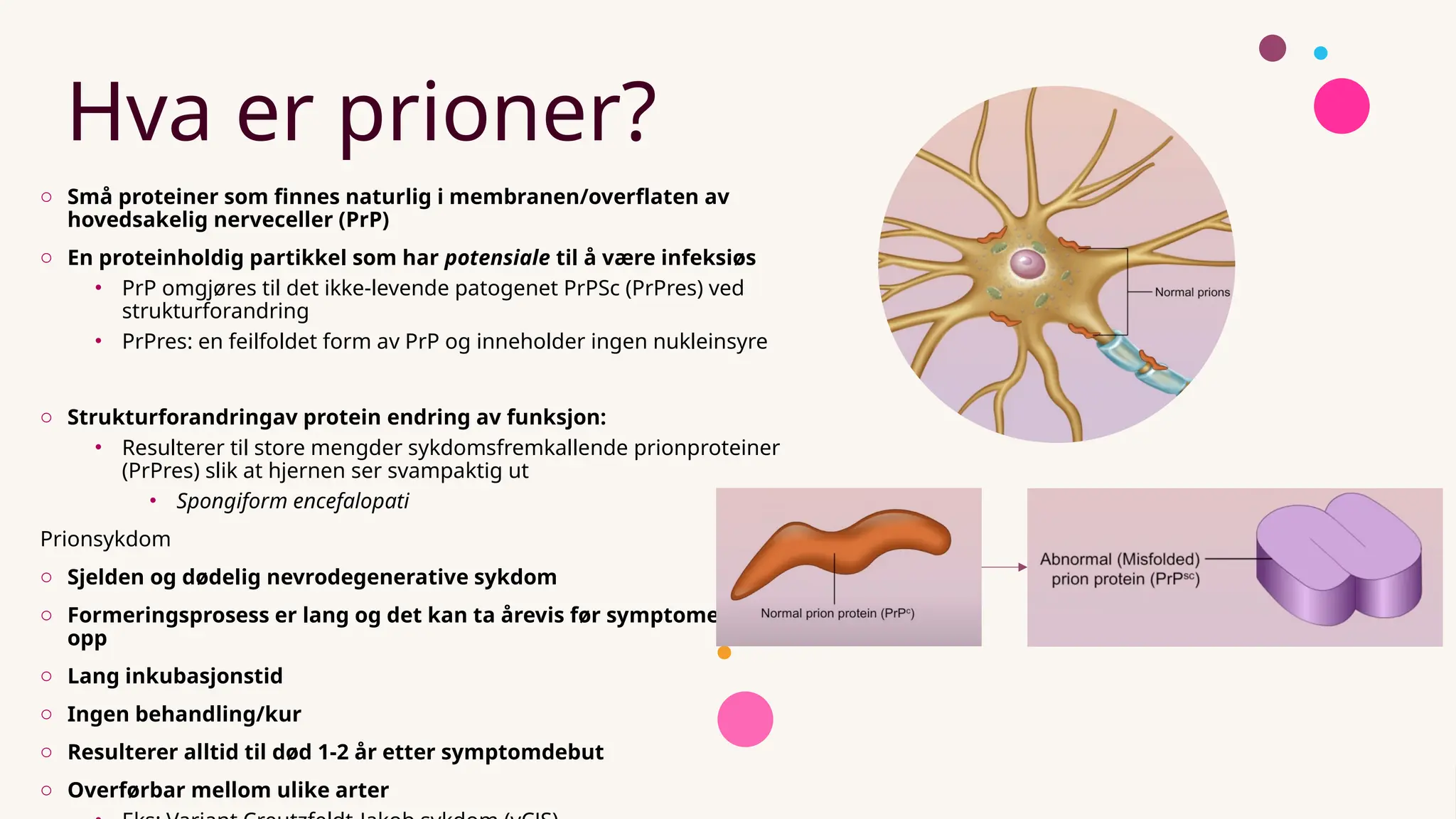 Prion disease presentation in norwegian- CJS.pptx