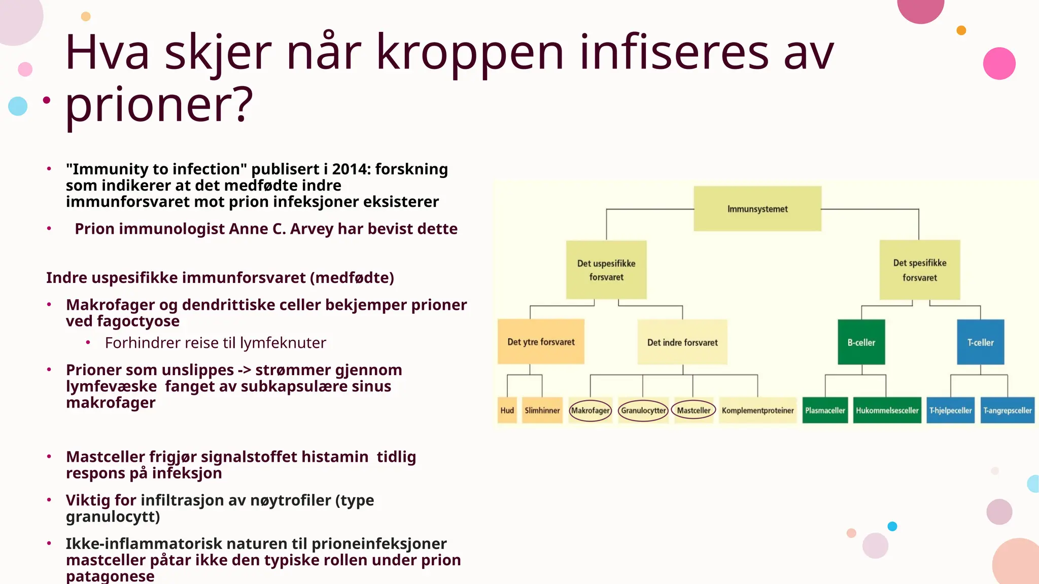 Prion disease presentation in norwegian- CJS.pptx