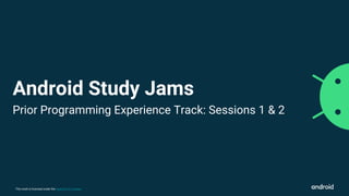 Prior programming experience track | PPT