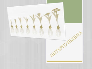 Interpunkcija - vežbanje za osnovnu školu | PPT