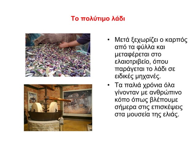 Priramida diatrofis | PPT