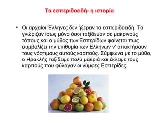 Priramida diatrofis | PPT