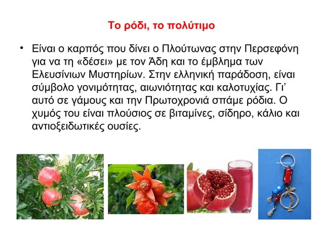 Priramida diatrofis | PPT