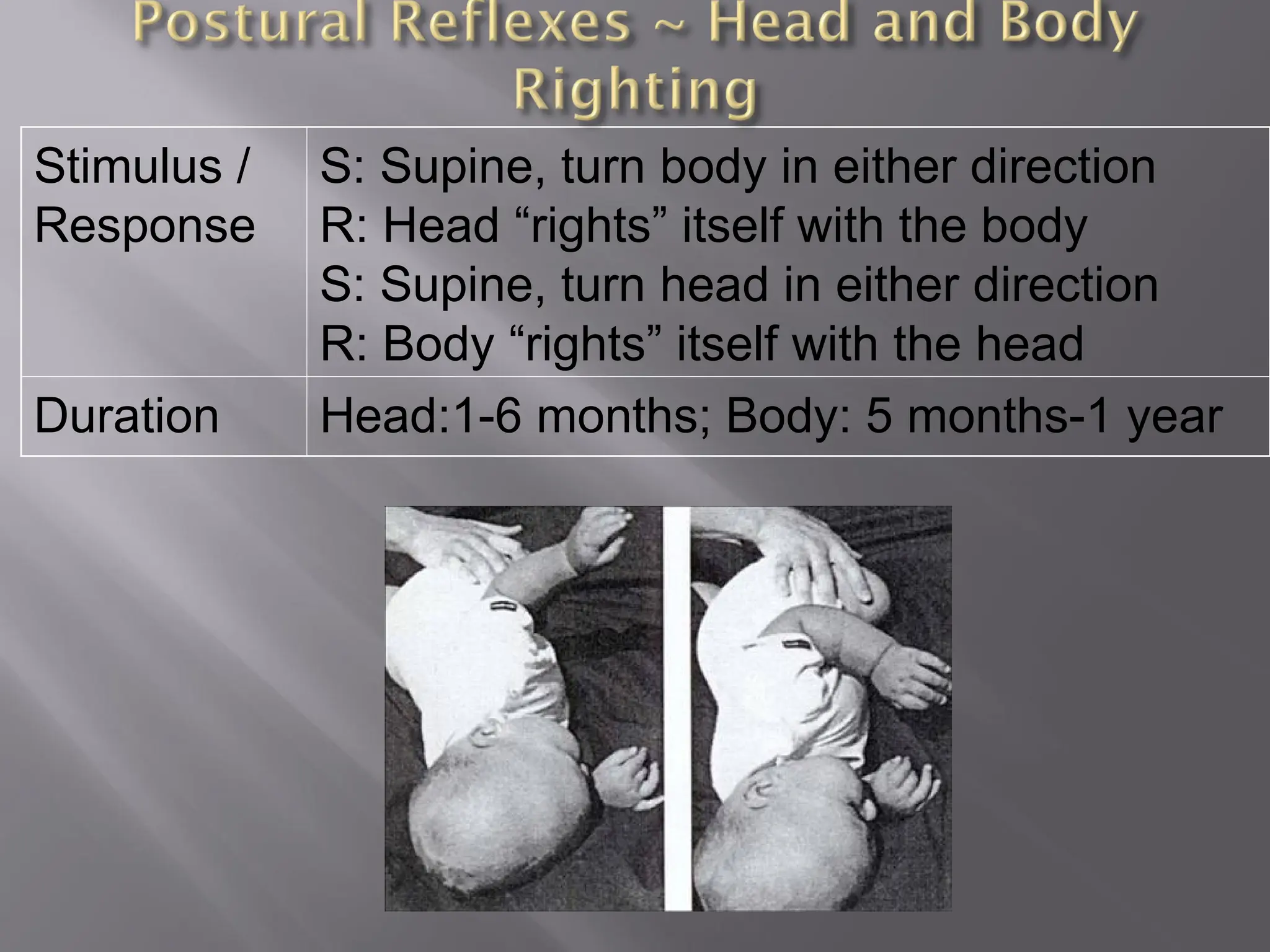 PRI REFLEXES TIPS AND TRICKS DEVELOPMENTAL.ppt