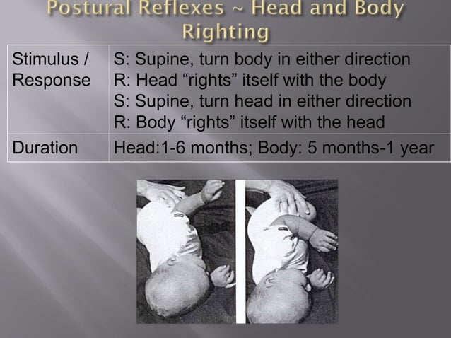PRI REFLEXES TIPS AND TRICKS DEVELOPMENTAL.ppt