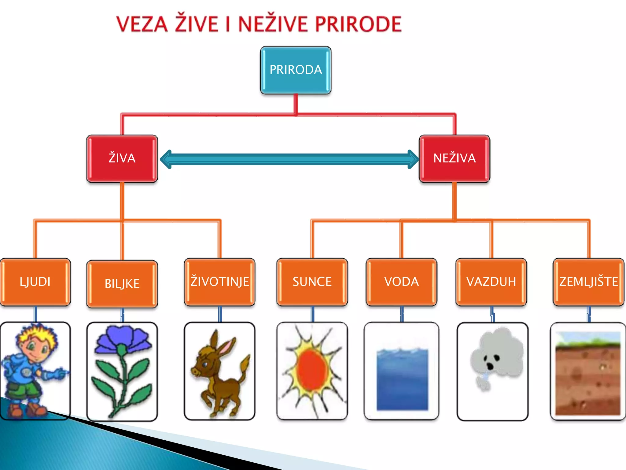 Priroda- živa i neživa | PPTX