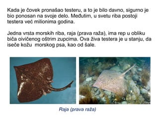 Priroda kao pokretač ideja | PPT