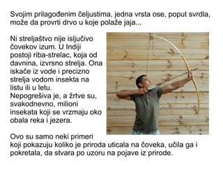 Priroda kao pokretač ideja | PPT