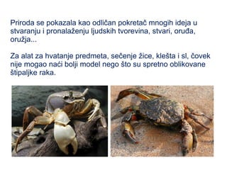 Priroda kao pokretač ideja | PPT