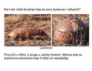 Priroda kao pokretač ideja | PPT