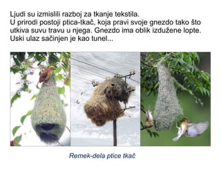 Priroda kao pokretač ideja | PPT