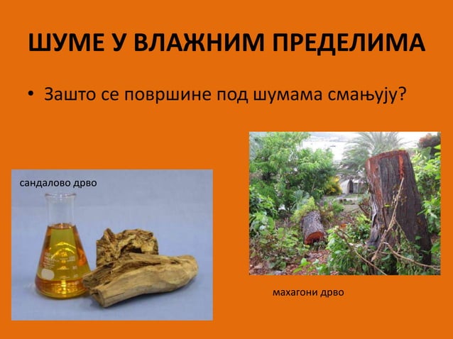 Prirodna bogatstva i privreda Azije Tanja Gagić | PPTX