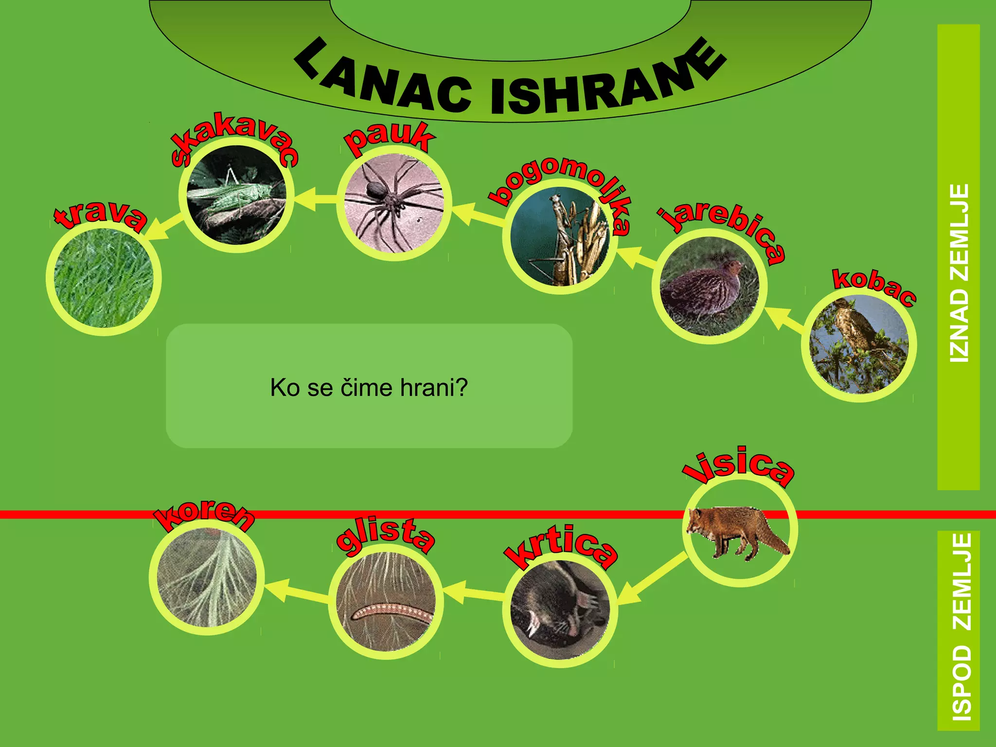 Prirodna kopnena stanista | PPT