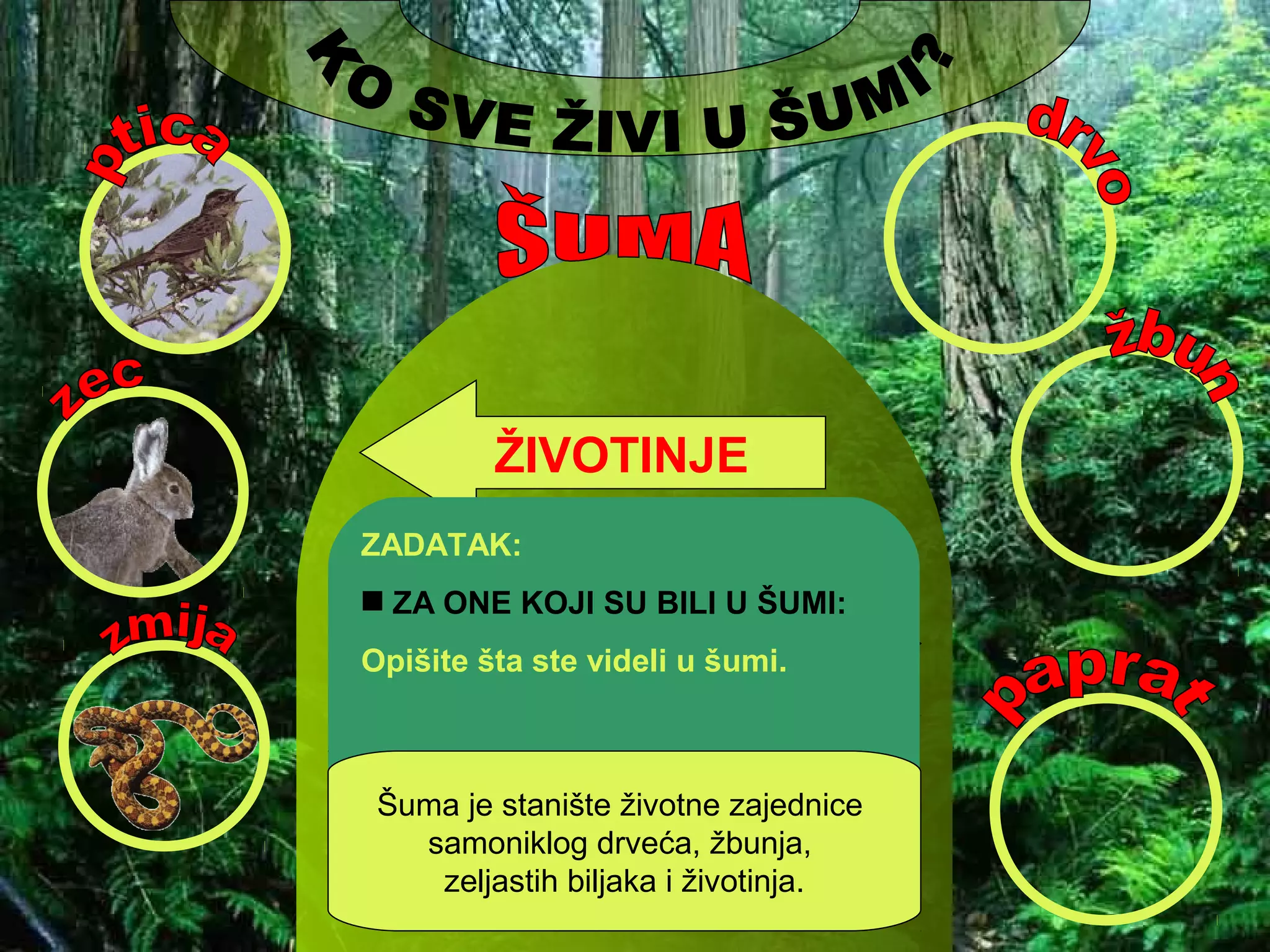 Prirodna kopnena stanista | PPT