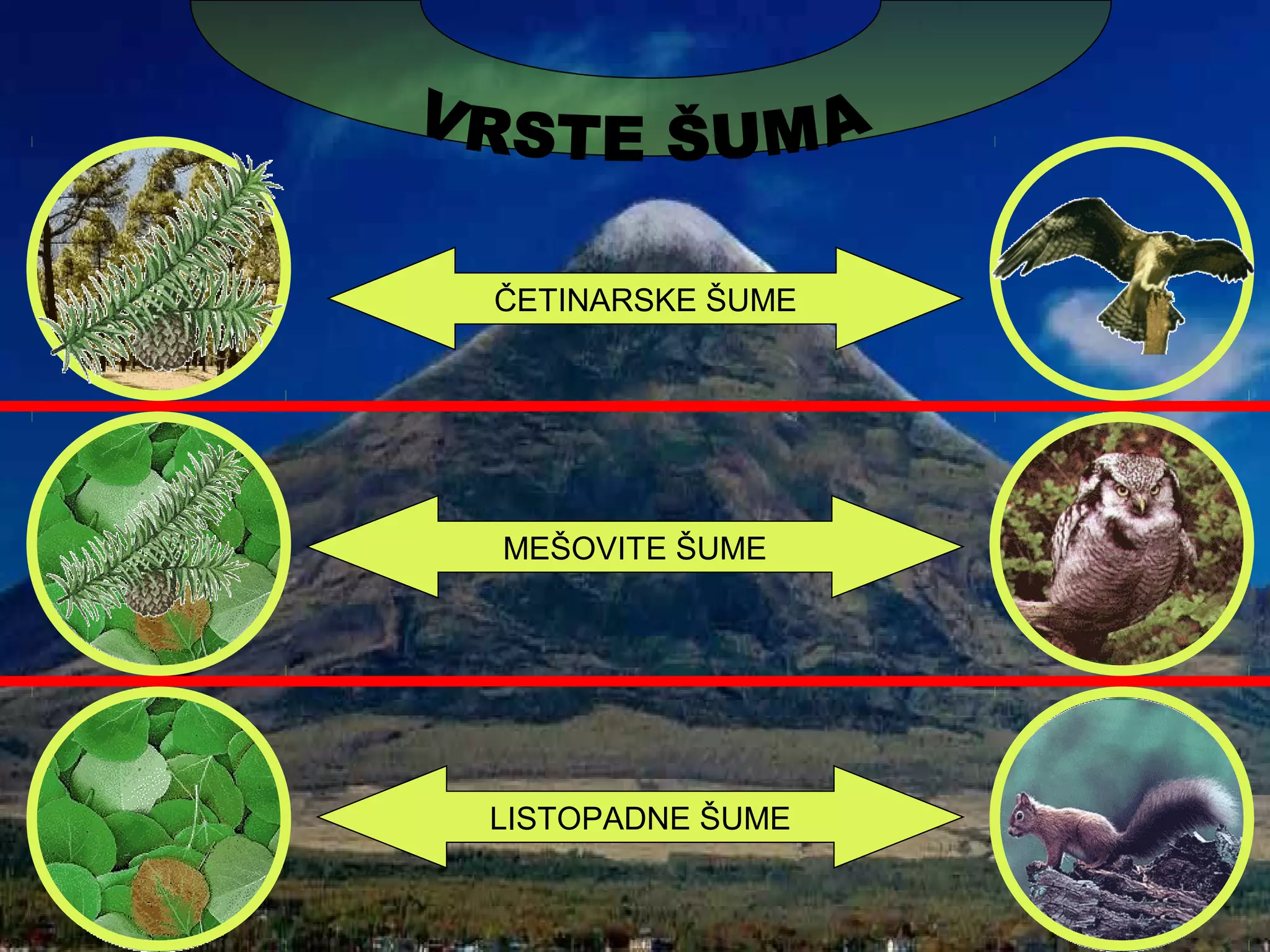 Prirodna kopnena stanista | PPT