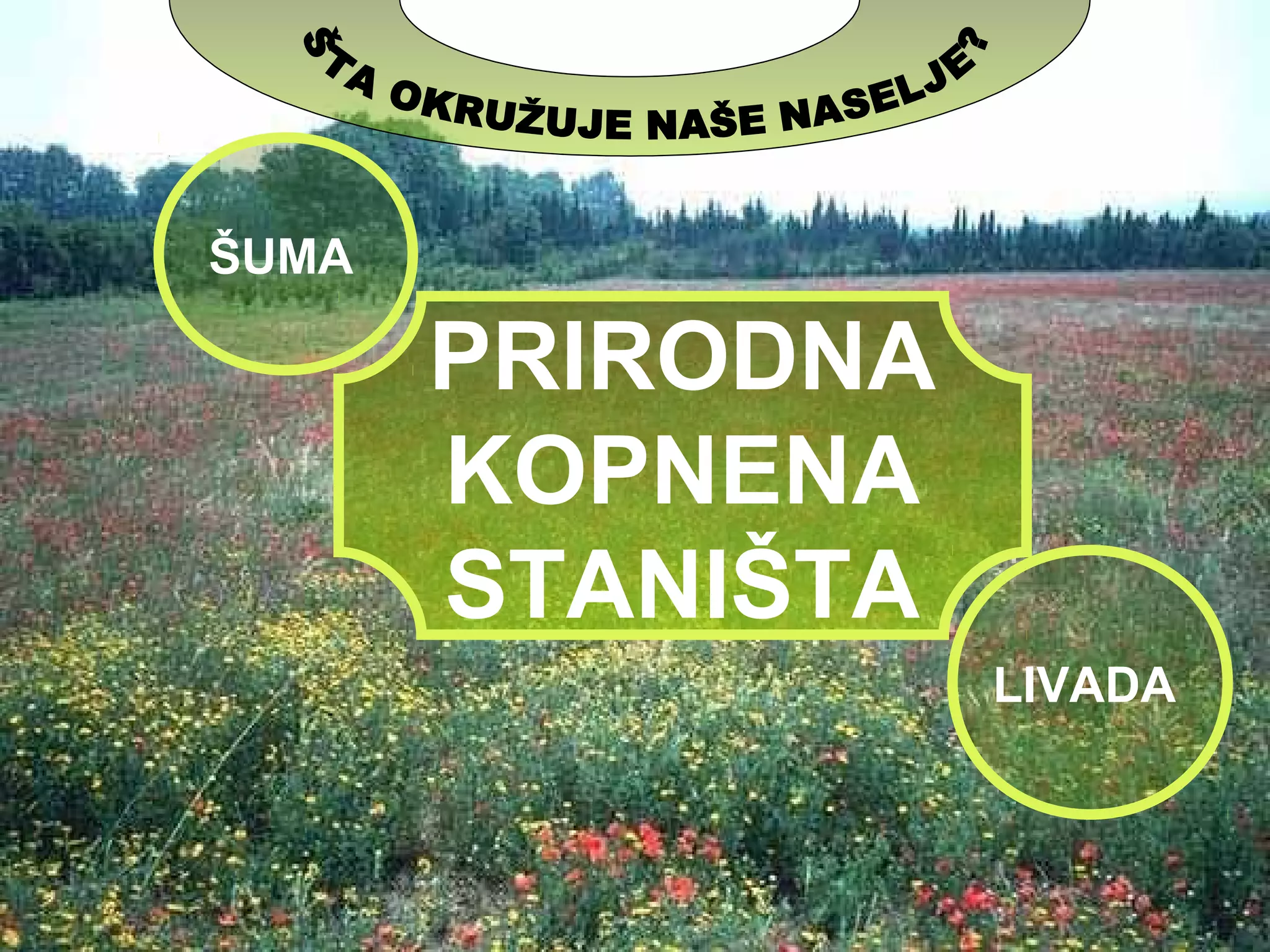 Prirodna kopnena stanista | PPT