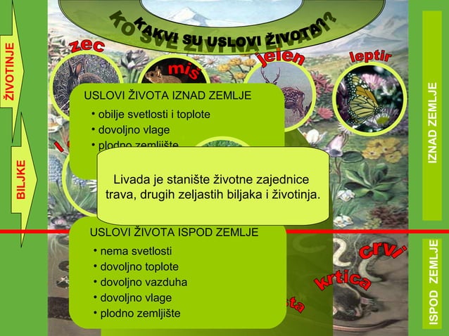 Prirodna kopnena stanista | PPT