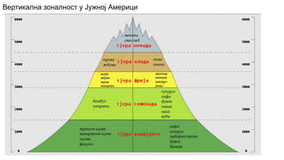 Prirodne zone | PDF