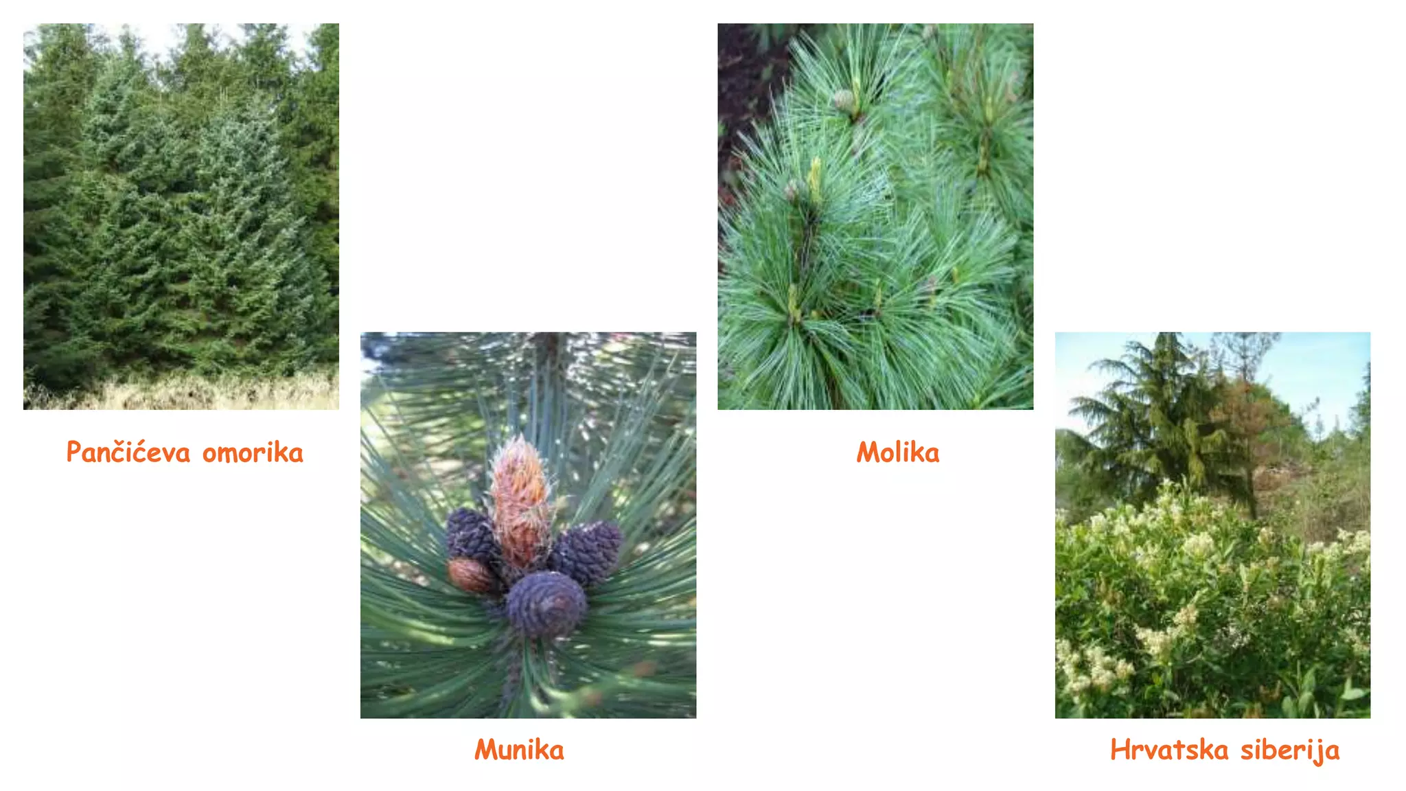 Prirodni resursi, pojam i definicija | PPTX